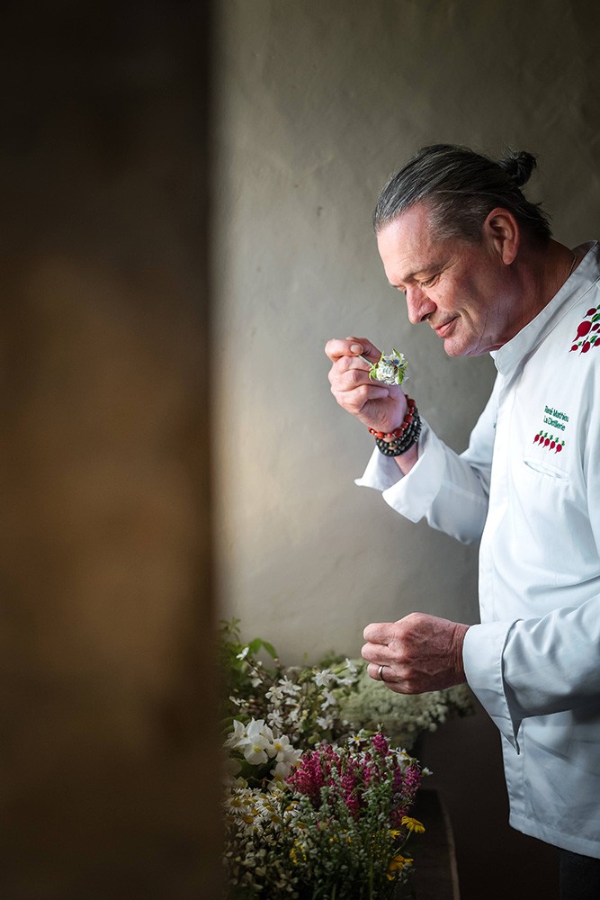 Dear hotel schools, embrace vegetable cuisine! | We're Smart World